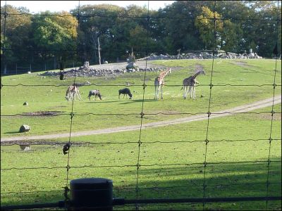 Ebeltoft-Gravlev - Banestien går langs "bagsiden" af dyreparken Ree ...
