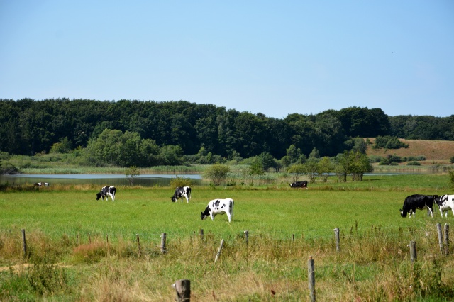 Ryomgård-Gjerrild - Mellem Ramten og Stenvad på cykelrute 22, der bør ...